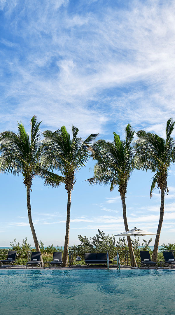 Welcome Home | Carillon Miami Wellness Resort