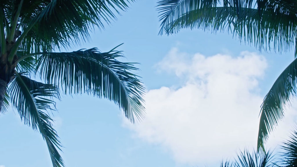 Luxury Miami Beach Resort & Spa | Carillon Miami Beach Hotel