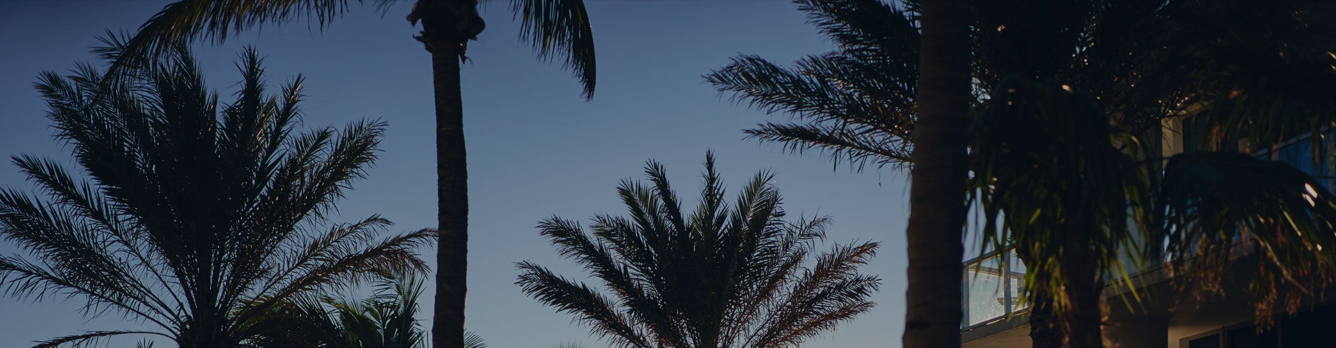 Luxury Miami Beach Resort & Spa | Carillon Miami Beach Hotel