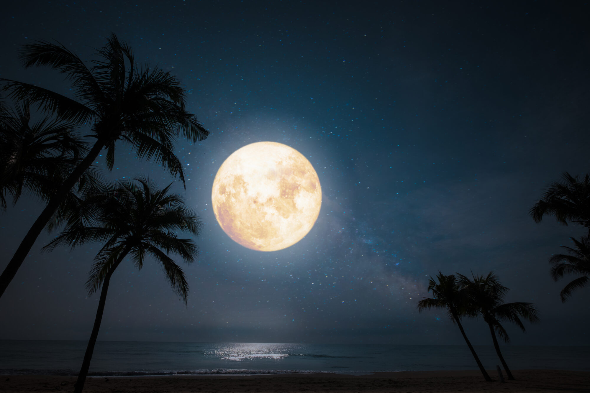 Full Moon Event | Oceanfront Terrace | Carillon Miami